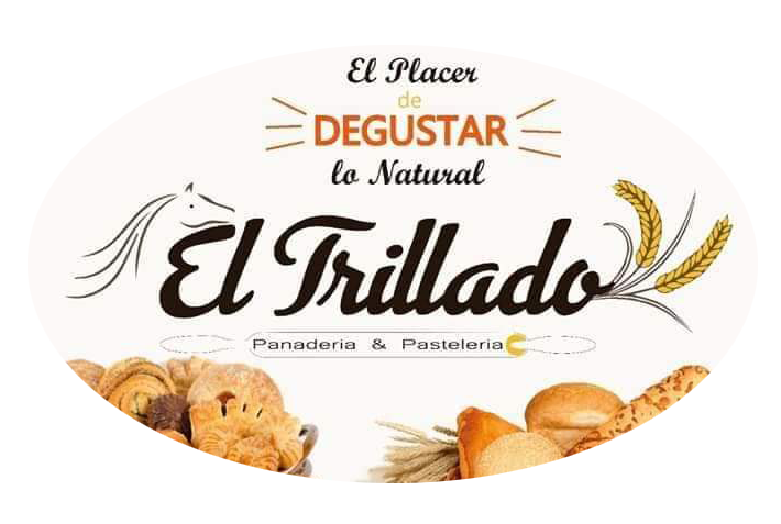 GALOTECH SYSTEMS | ACCESO